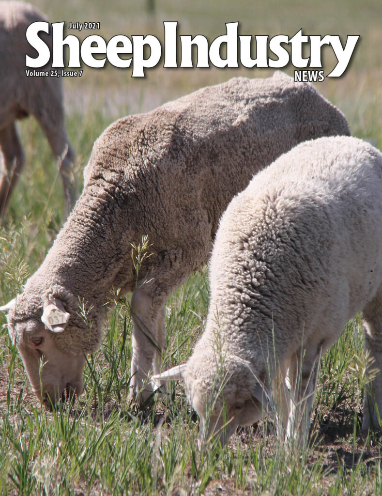 Home - American Sheep Industry Association