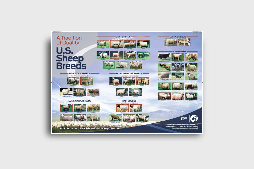U.S. SHEEP BREEDS POSTER - American Sheep Industry Association
