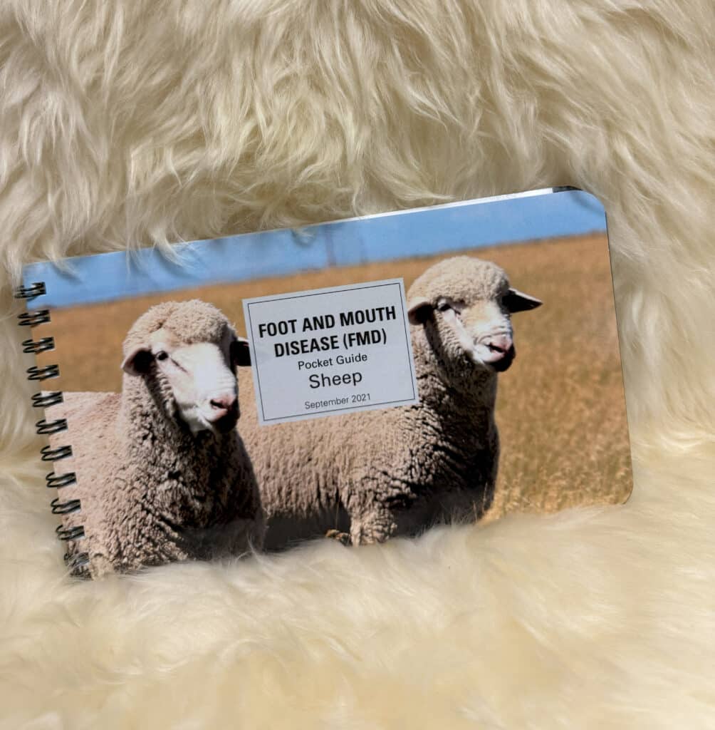 FMD POCKET GUIDE FOR SHEEP - American Sheep Industry Association