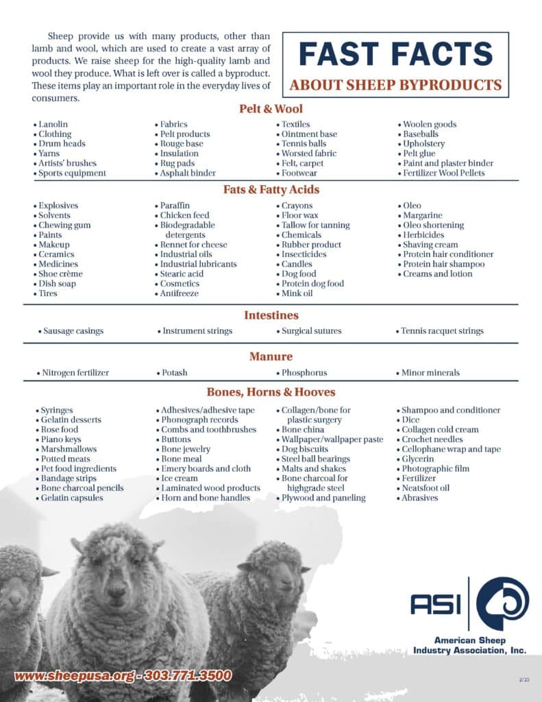 American Sheep Industry | Fast Facts