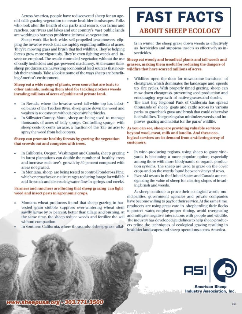 American Sheep Industry | Fast Facts