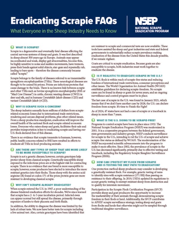 American Sheep Industry | Scrapie and Sheep ID Information